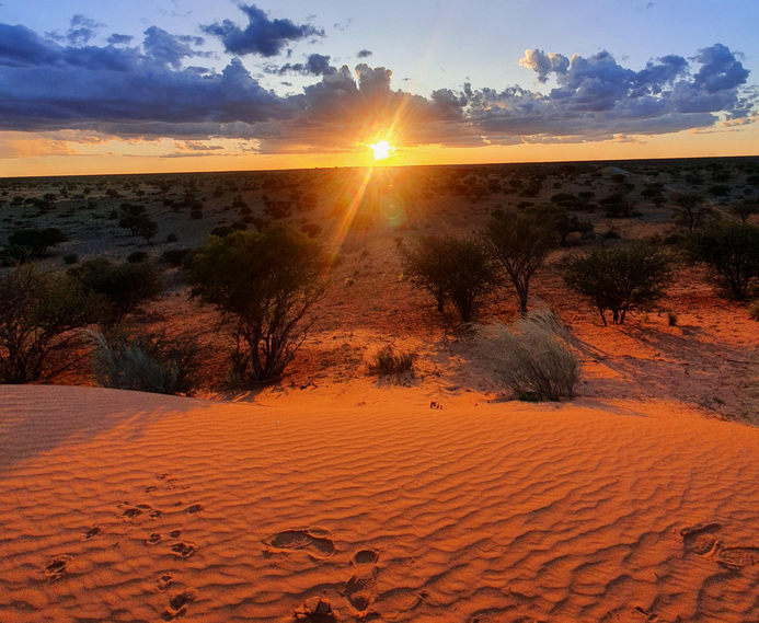 Eastern Region - Namibia App