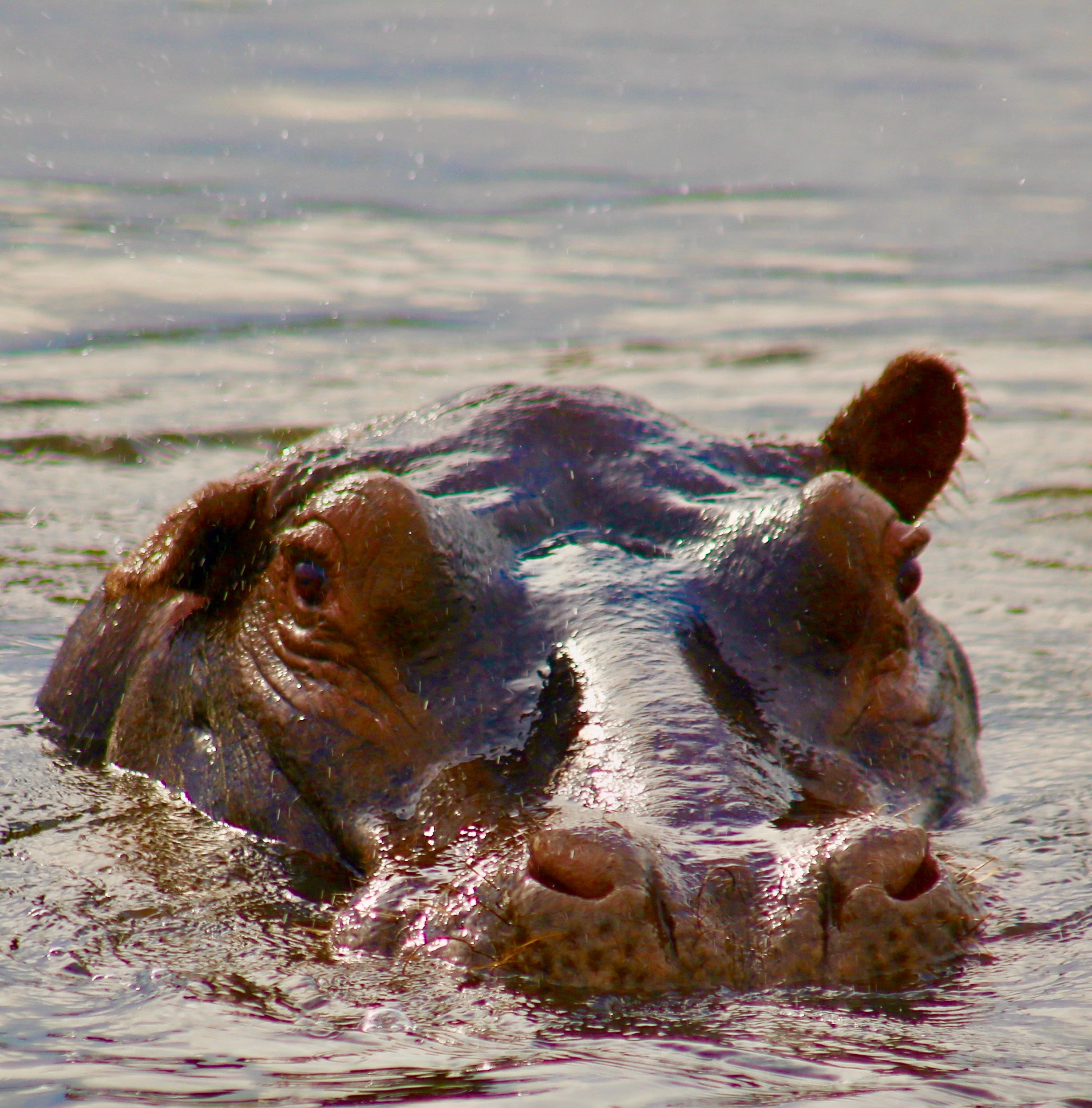 Gallery – Namibia App