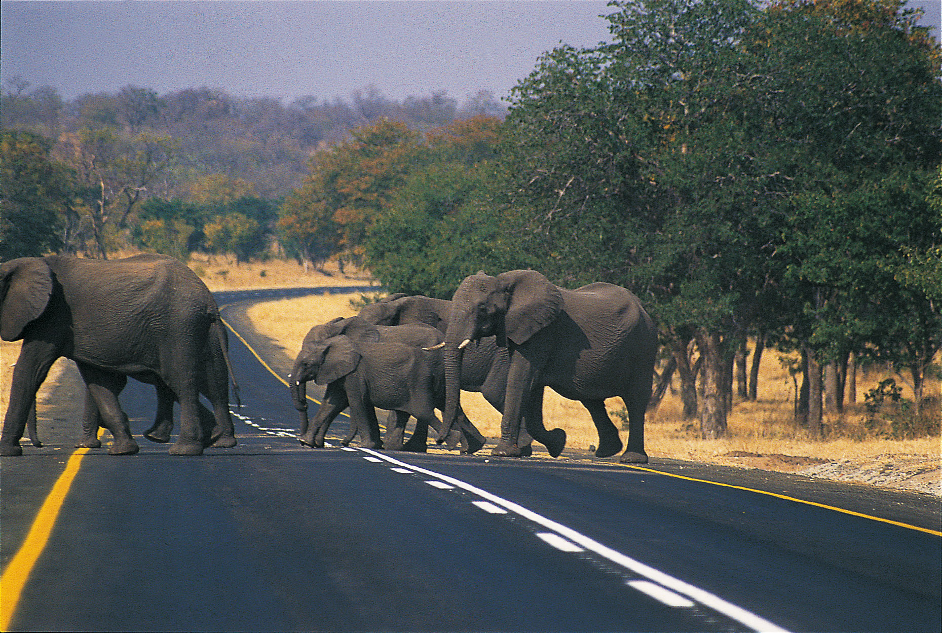 Gallery – Namibia App