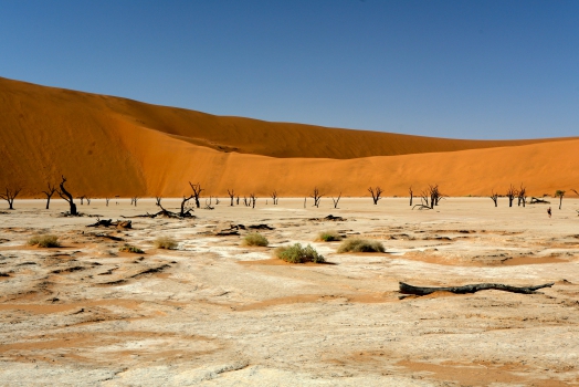 Demographics - Namibia App