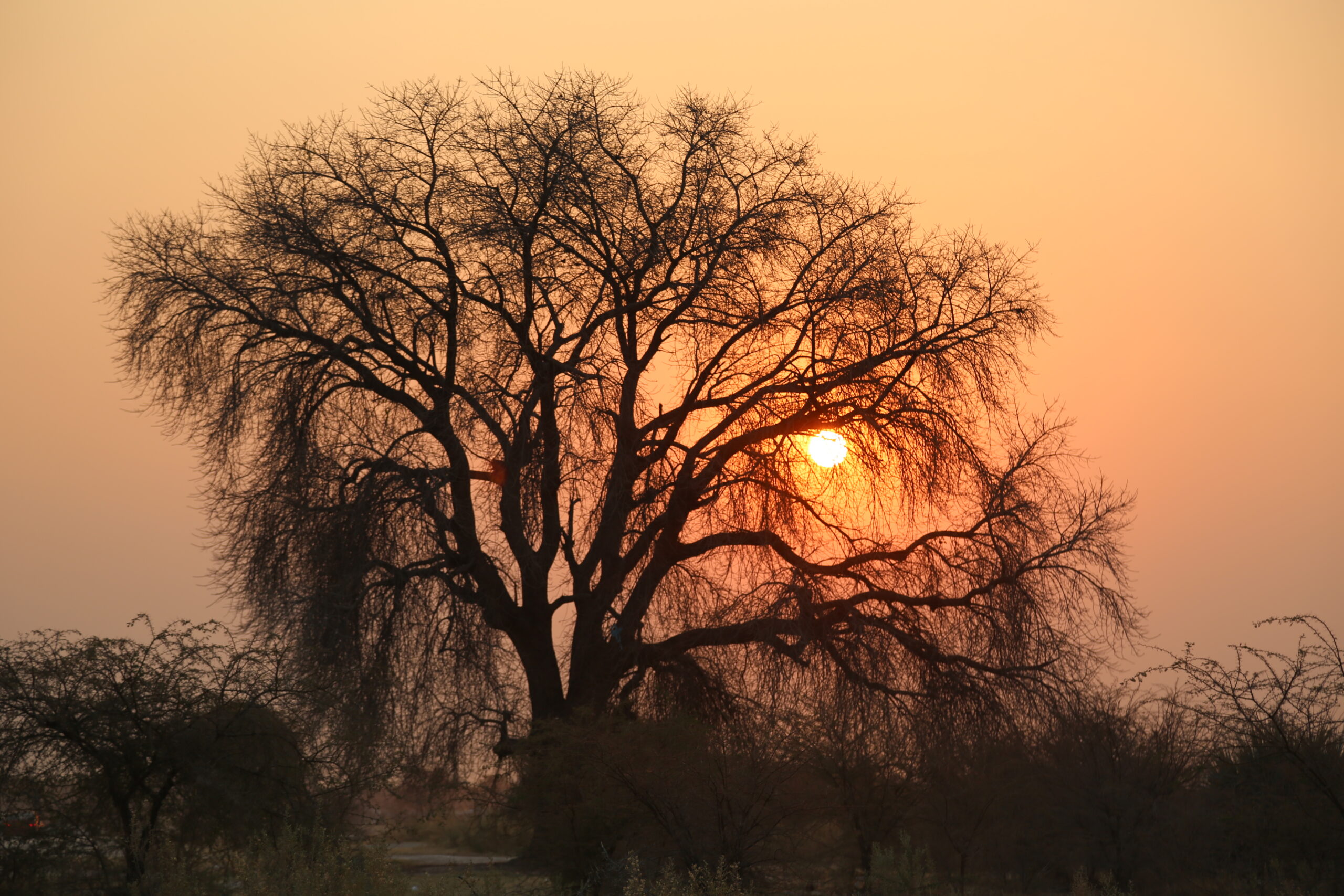 Northern Region - Namibia App